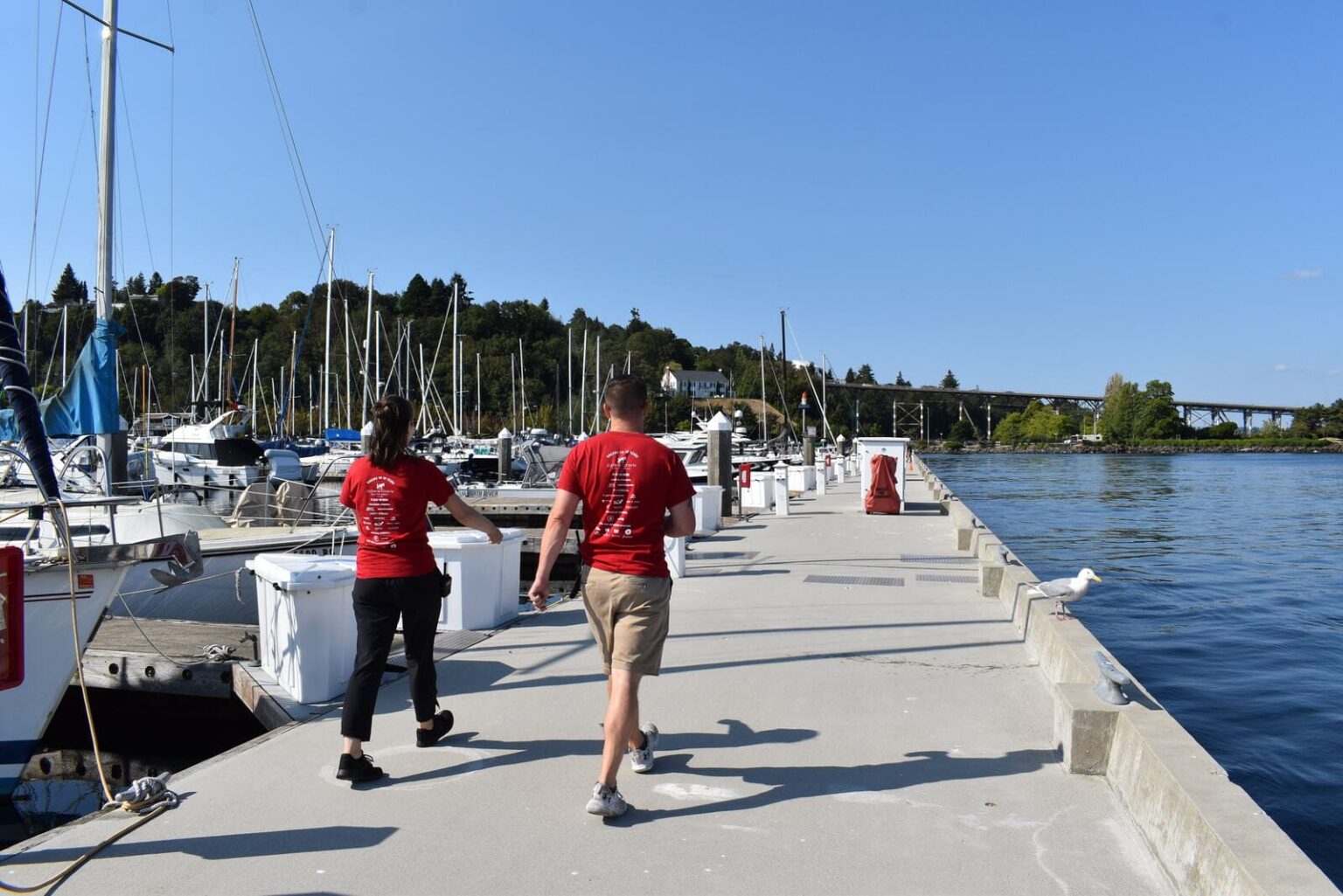 About The Marina - Elliott Bay Marina